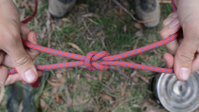 Source: octomoves.com